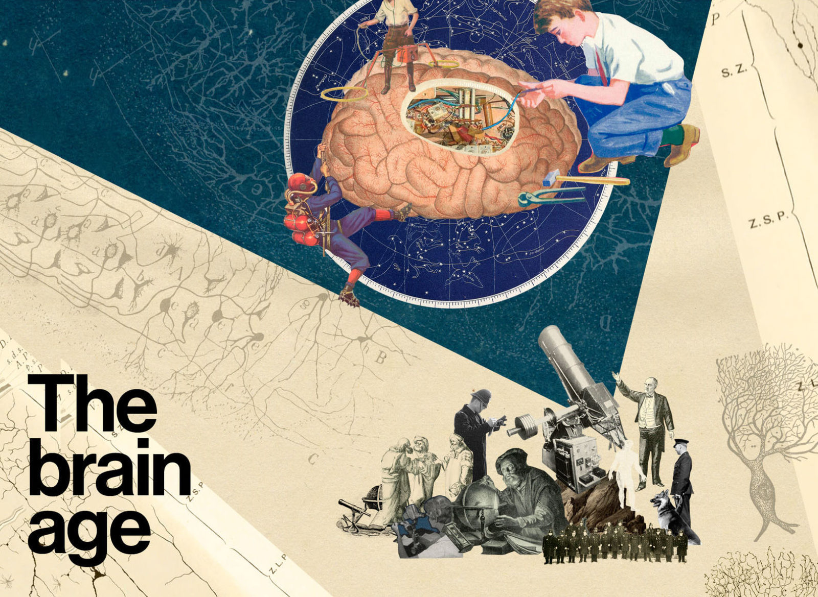 The brain age - The Long and Short